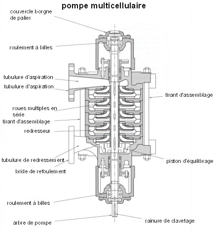 pompe multicellulaire | GDT