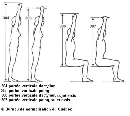 portée verticale dactylion | GDT