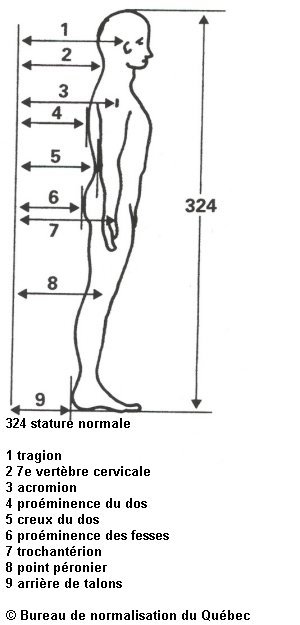 stature normale | GDT