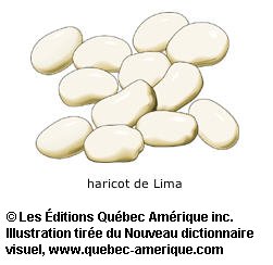 haricot de Lima | GDT